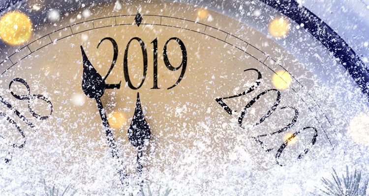 Infographic: Our 2019 in Review